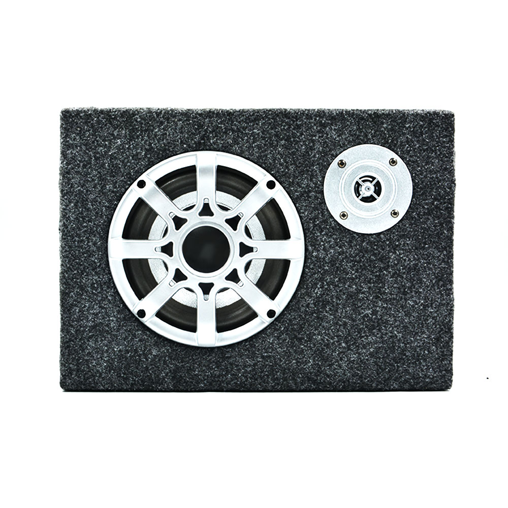 6 inch active subwoofer