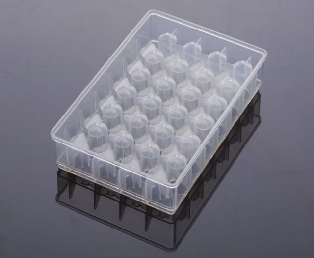 24-well deep well plate