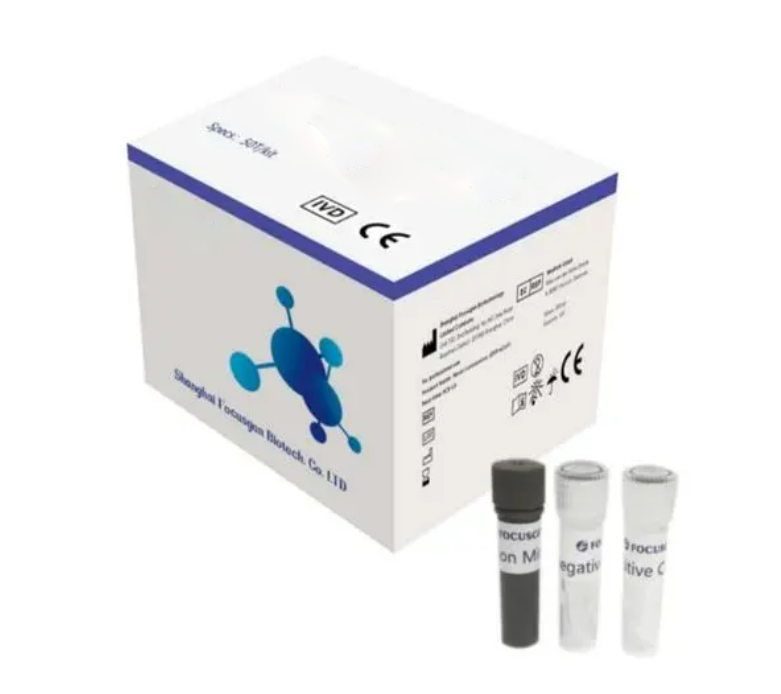 DNase assay Kit(Fluorescence)