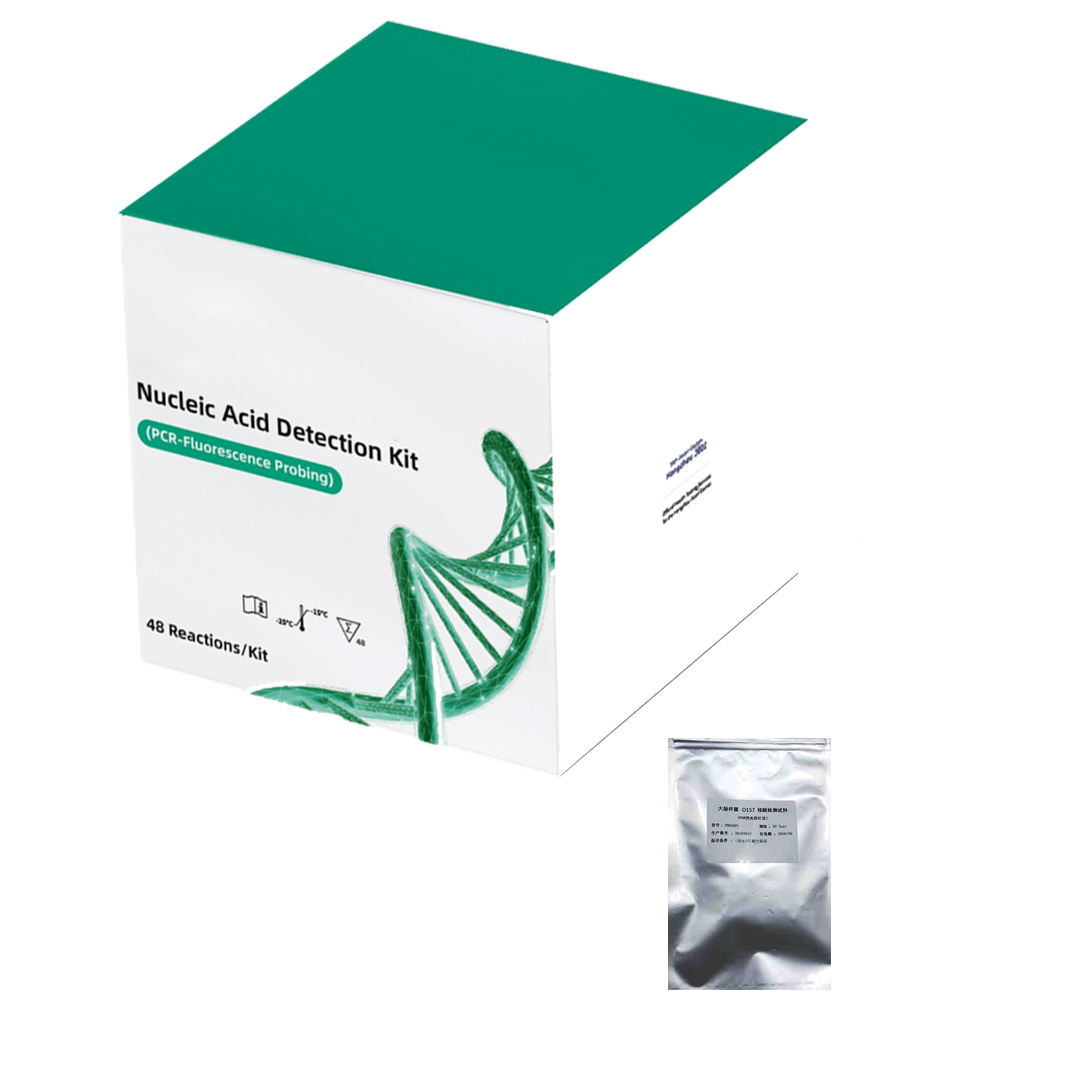 Vibrio vulnificus nucleic acid test kit（Lyophilized