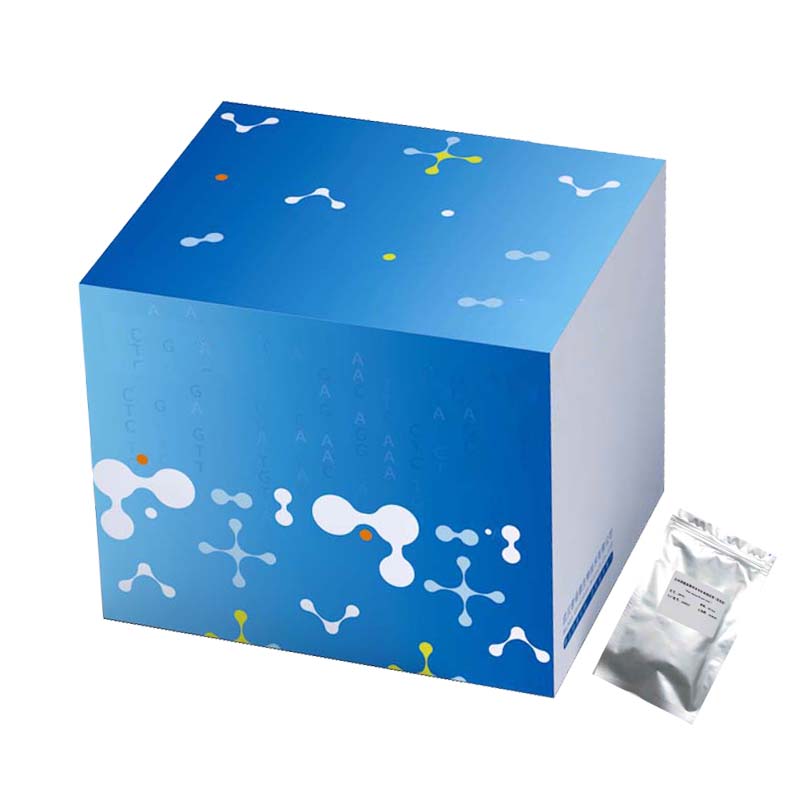 Canine Herpesvirus (CHV) Nucleic Acid Detection Kit (Lyophilized/PCR ...