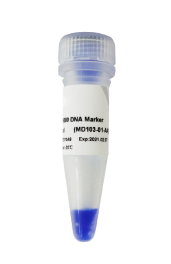 DL2000 Plus DNA Marker