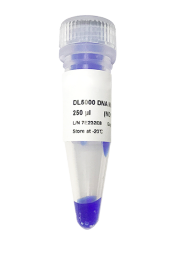 DL5000 DNA Marker