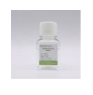 Organoid Red Blood Cell Lysis Solution