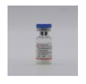 Organoid Recombinant Human R-spondin1