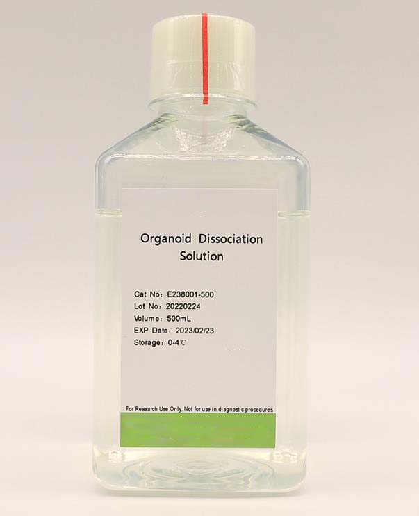 Organoid Primary Tissue Storage Solution