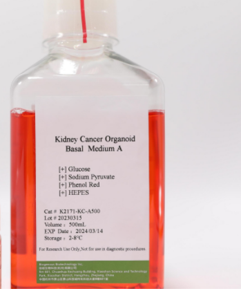 Kidney Cancer Organoid Kit