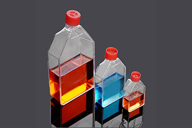 Cell Culture Bottle