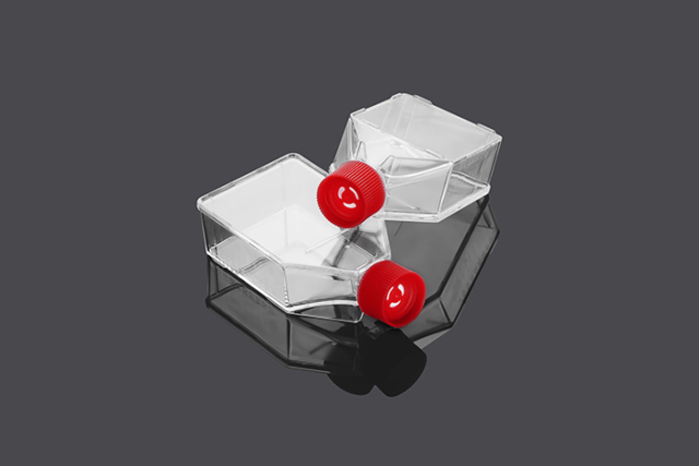 Cell Culture Bottle