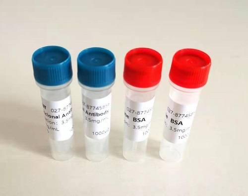 Ochratoxin A BSA(Antigen)