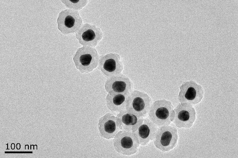 Gold @ SiO2 Nanosphere