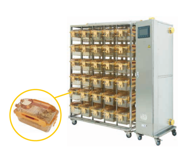 Stainless Mouse Isolation Cage