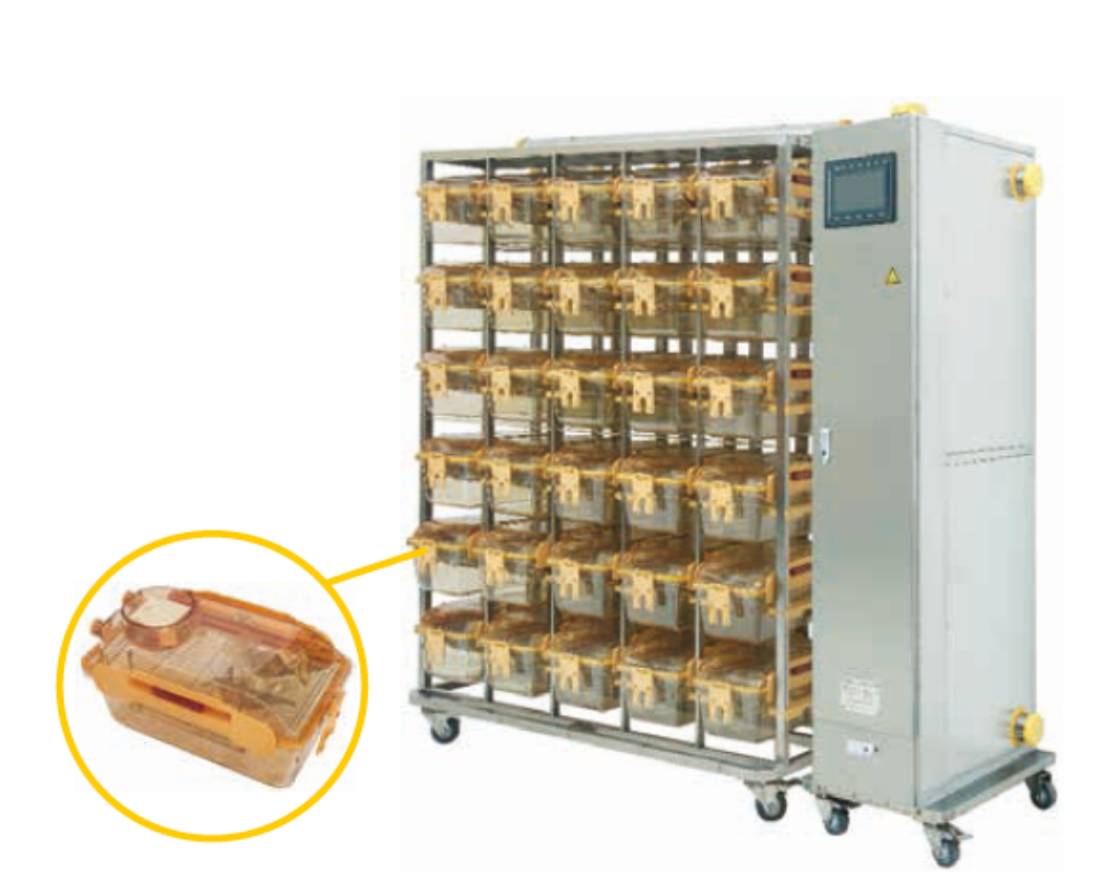 IVC Isolation Cage For Biosafety Rats