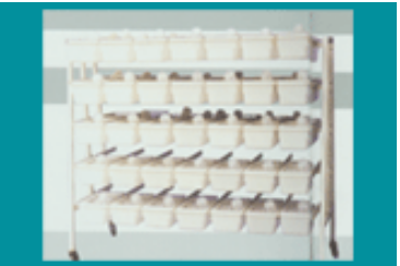 SPF Small Mouse Feed Cage