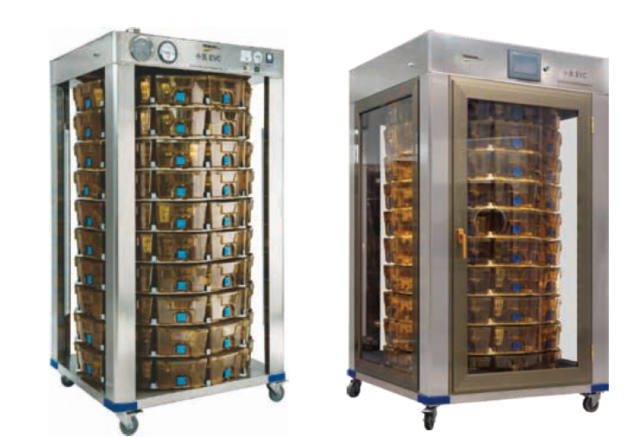 Ventilation System for EVC Small Animals