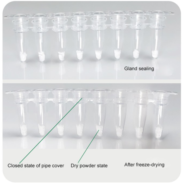 PCR 8-tube for Lyophilized Reagent