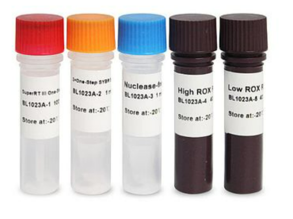 High GC DNA Scavenger