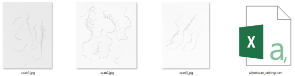 LK-1900 Root scanner System