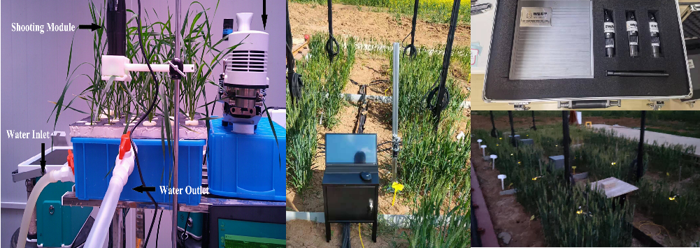 LK-1820 In-situ Dynamic Phenotype Monitoring System for Plant Stomata