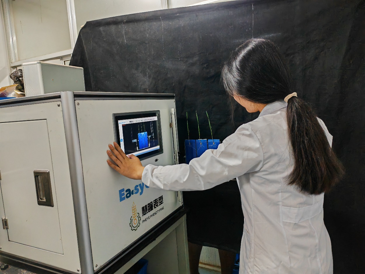 LK-1840 In Situ Phenotypic Monitoring System for Seed Germination Dynamics