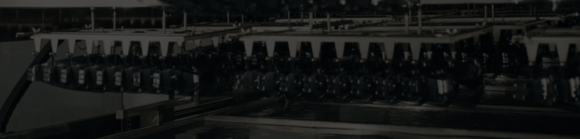 Top Motorcycle Helmet Makers: Crafting the Best Dual Sport Helmets