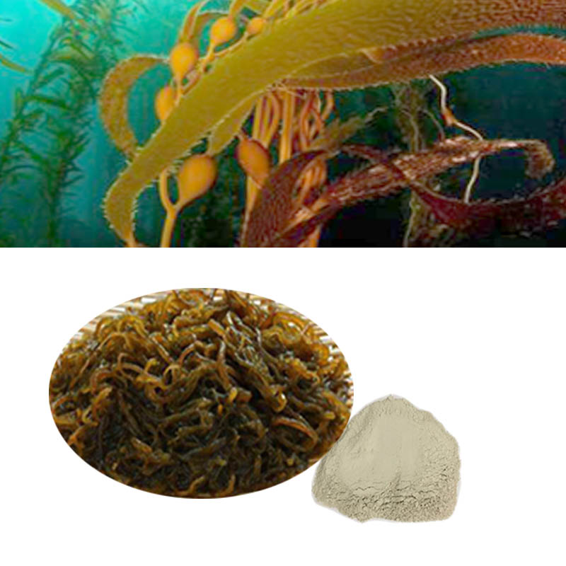 Brown algae extract, Fucoidan