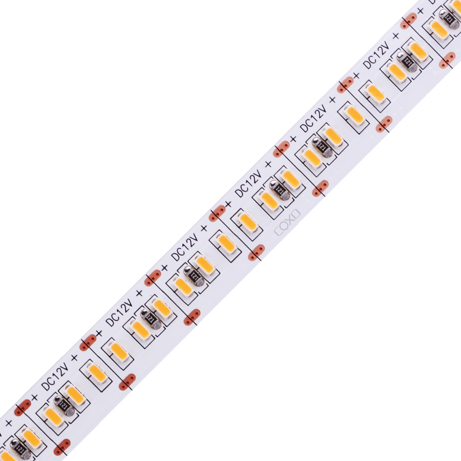 10mm 12V/24V 240leds/m 3014 LED strip