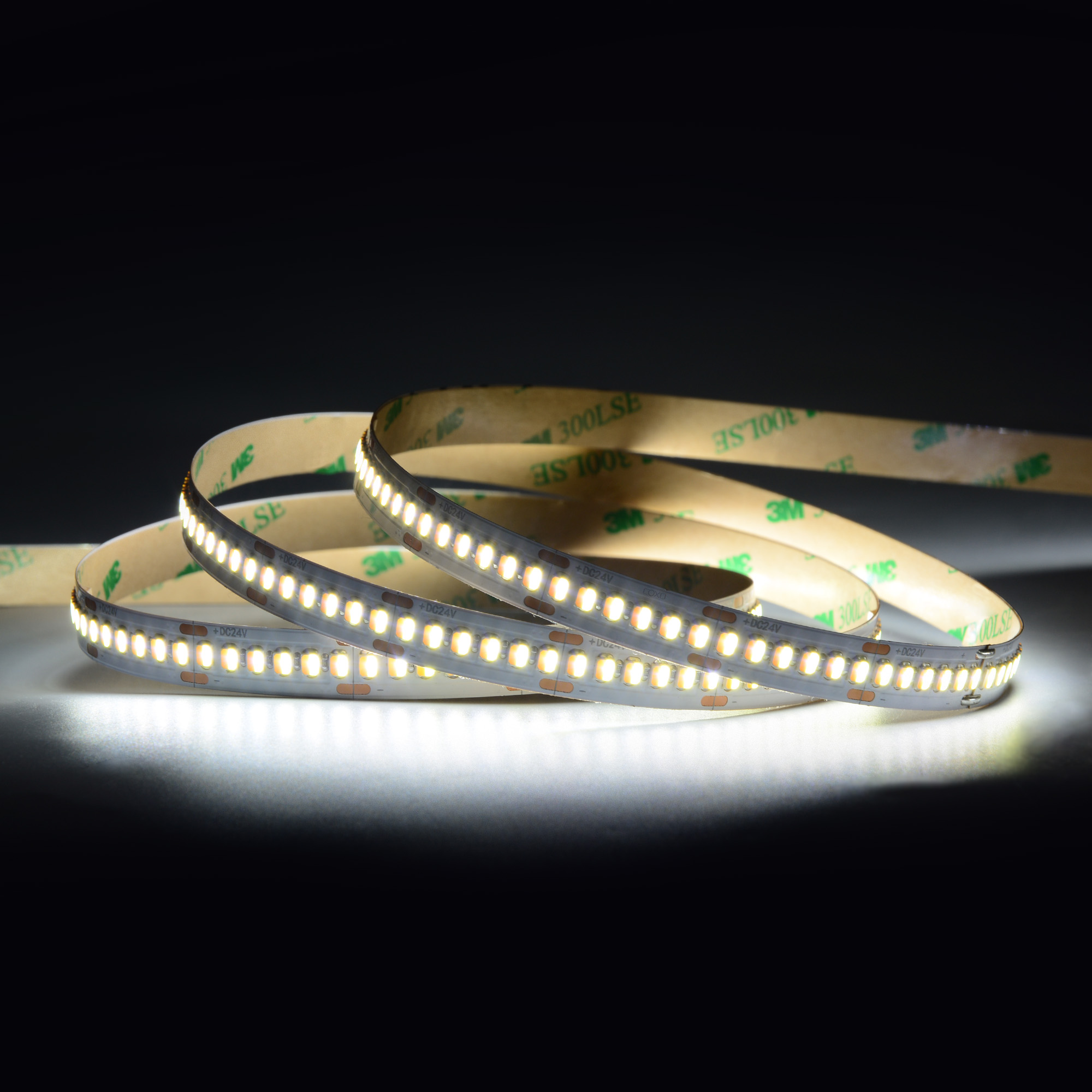 10mm 24V 240leds/m 2 in 1 CCT 2835 LED strip