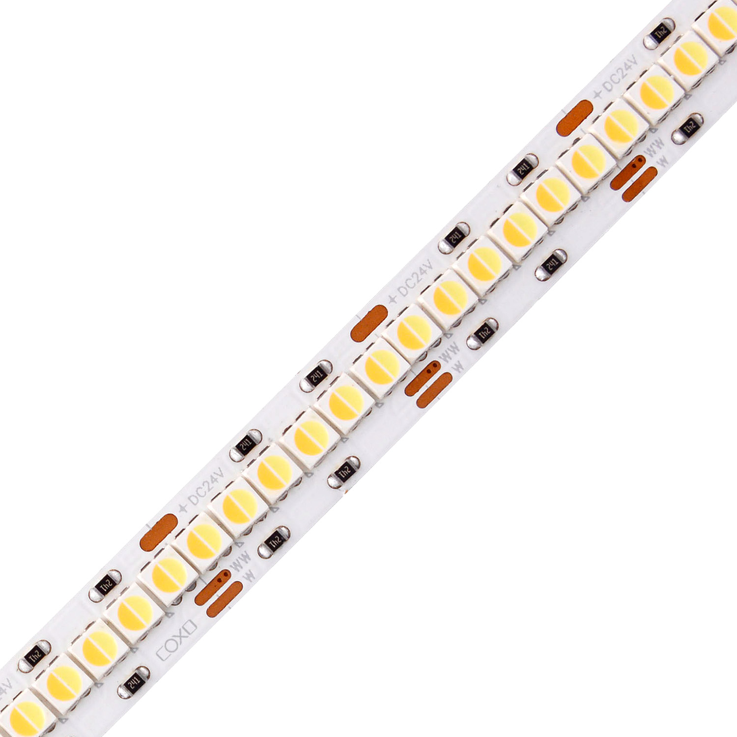 10mm 24V 240leds/m 2 in 1 CCT 3838 LED strip