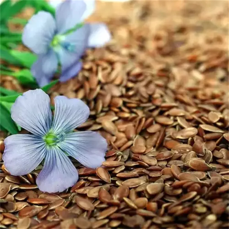 Flaxseed extract