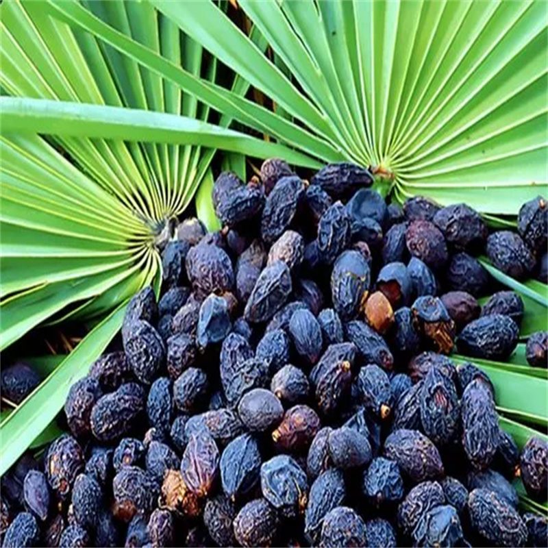 Saw palmetto extract