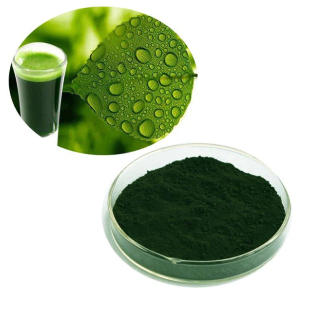 Sodium Copper Chlorophyllin powder