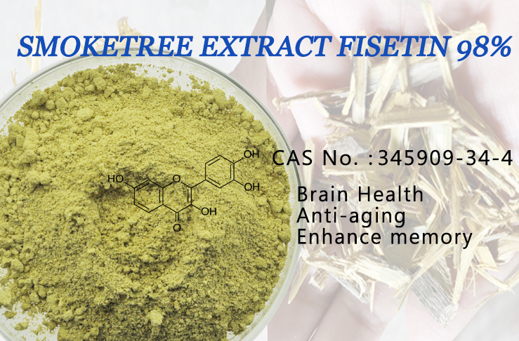 Brain health ，Fisetin has been found to be anti-aging, and is a ...