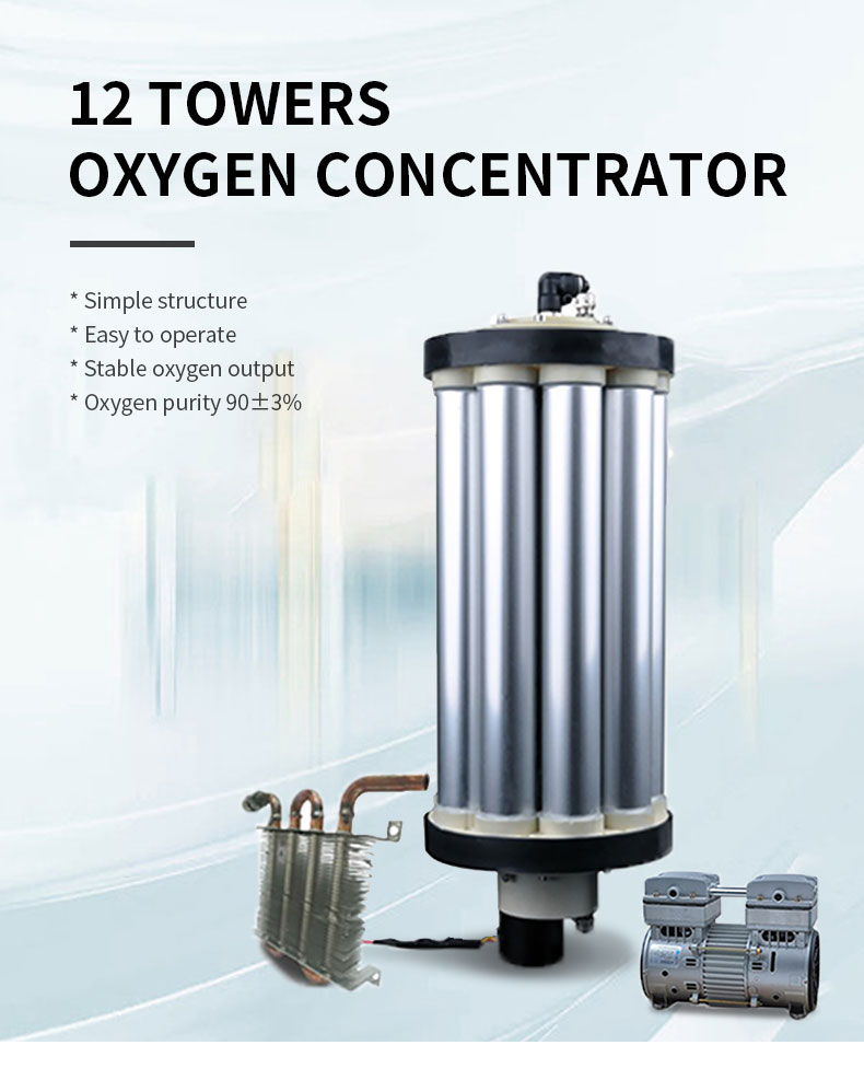 Industrial with Oxygen High Frequency Twelve Towers Oxygen Concentrator ...