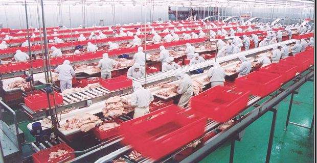 How is ozone used to disinfect meat product workshops?