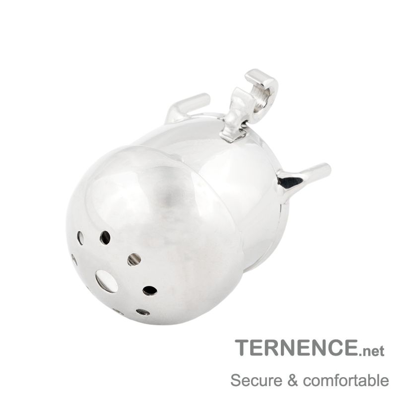 TERNENCE Male Chastity Cage Stealth Lock Cock Cage (only cages do not ...