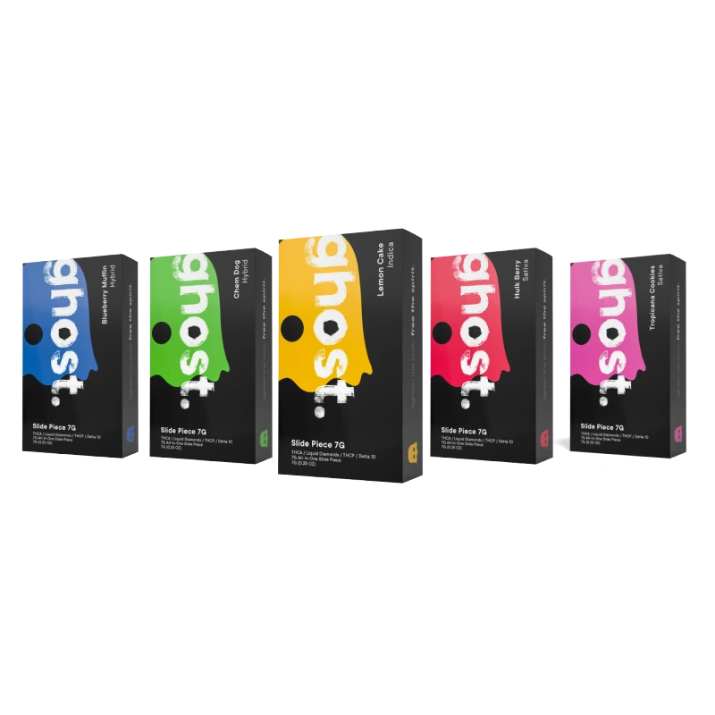 Ghost Slide Piece 7g Disposable Vape | SMOtopia