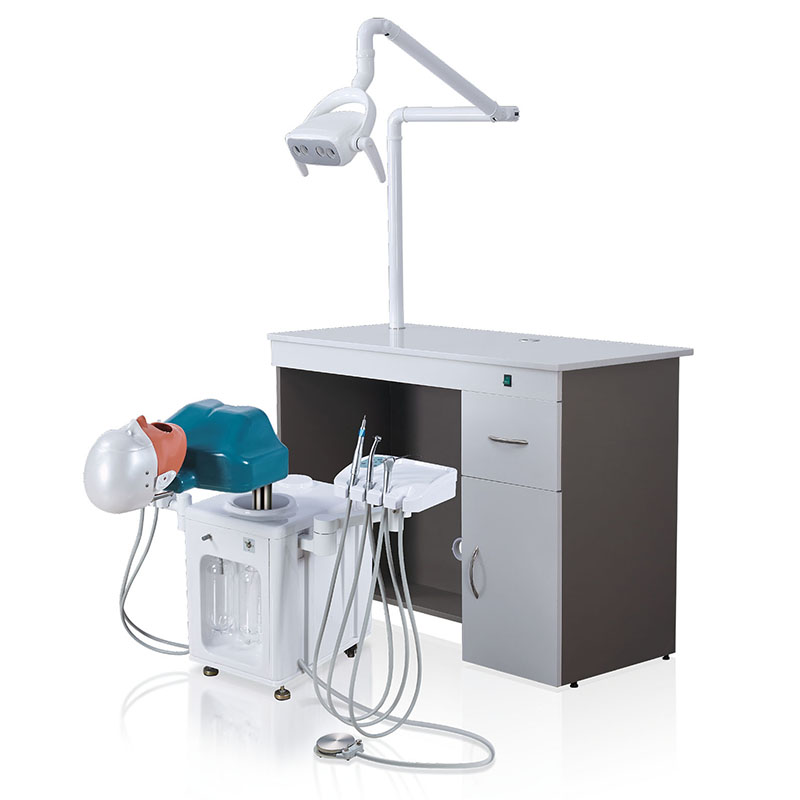 Dental Simulation And Laboratory Training