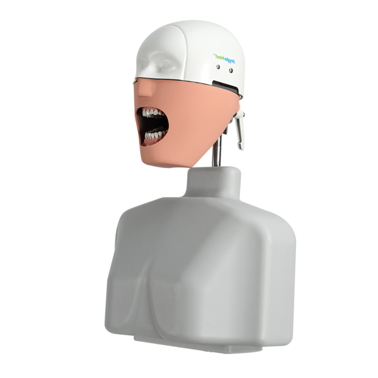 Dental Phantom Head Unit – Mannequin Simulator for Dental Training