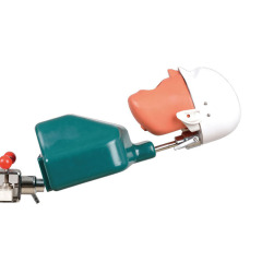 Dental Phantom Head Pre-clinical Training System