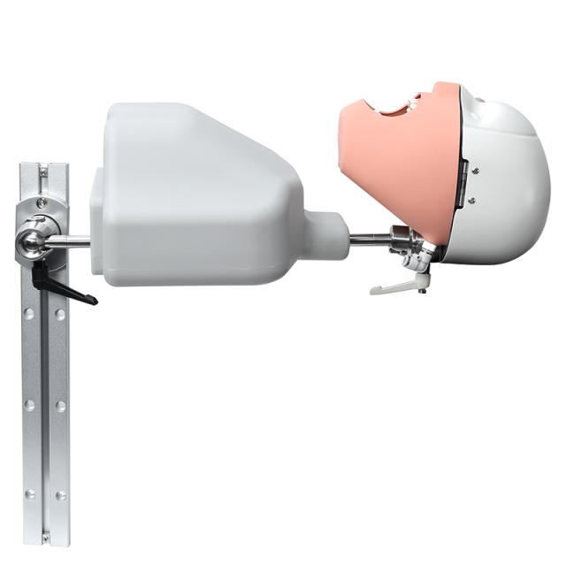 Phantom Head Dentistry For Training