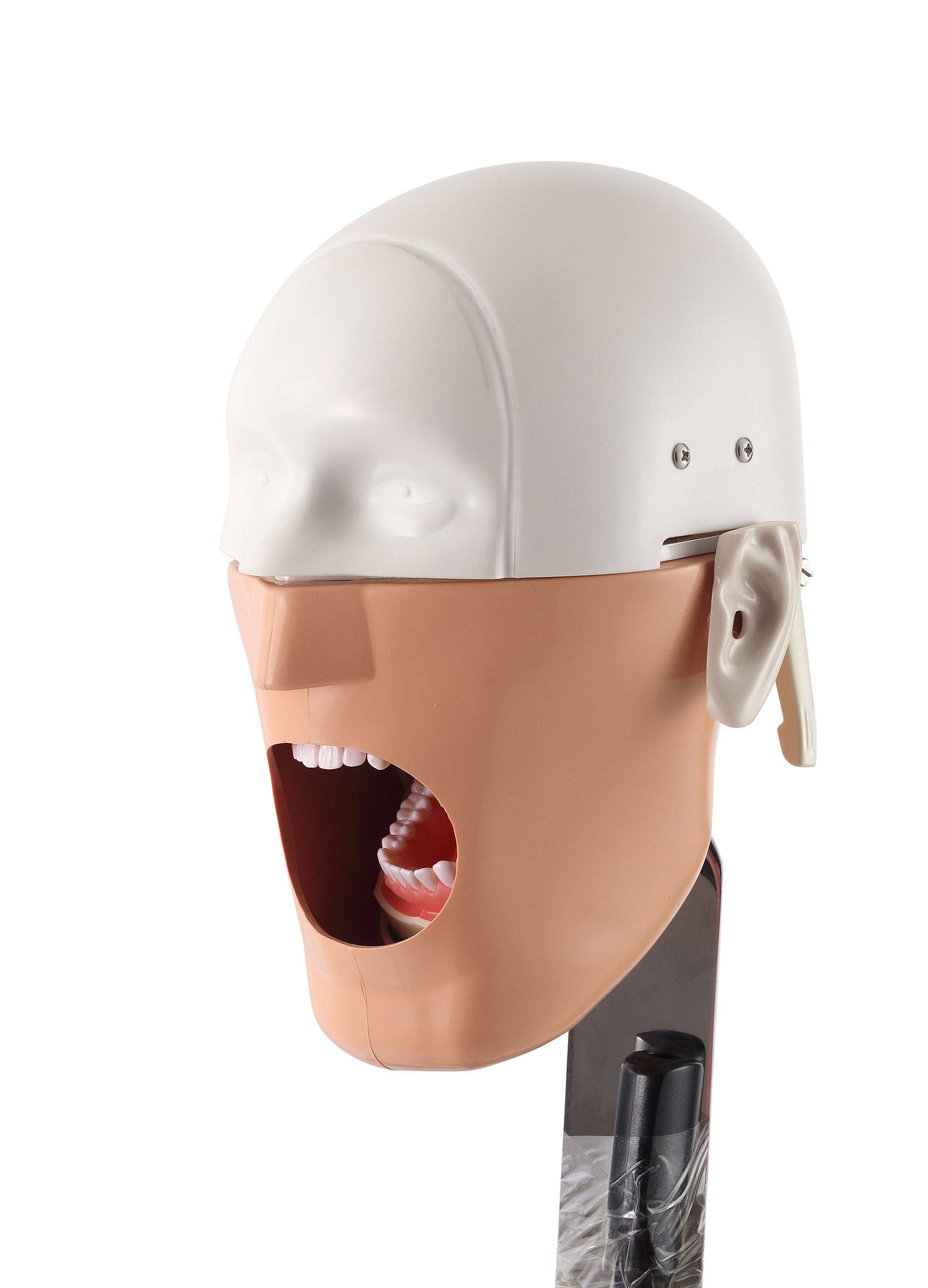 Chair Headrest Dental Phantom Head