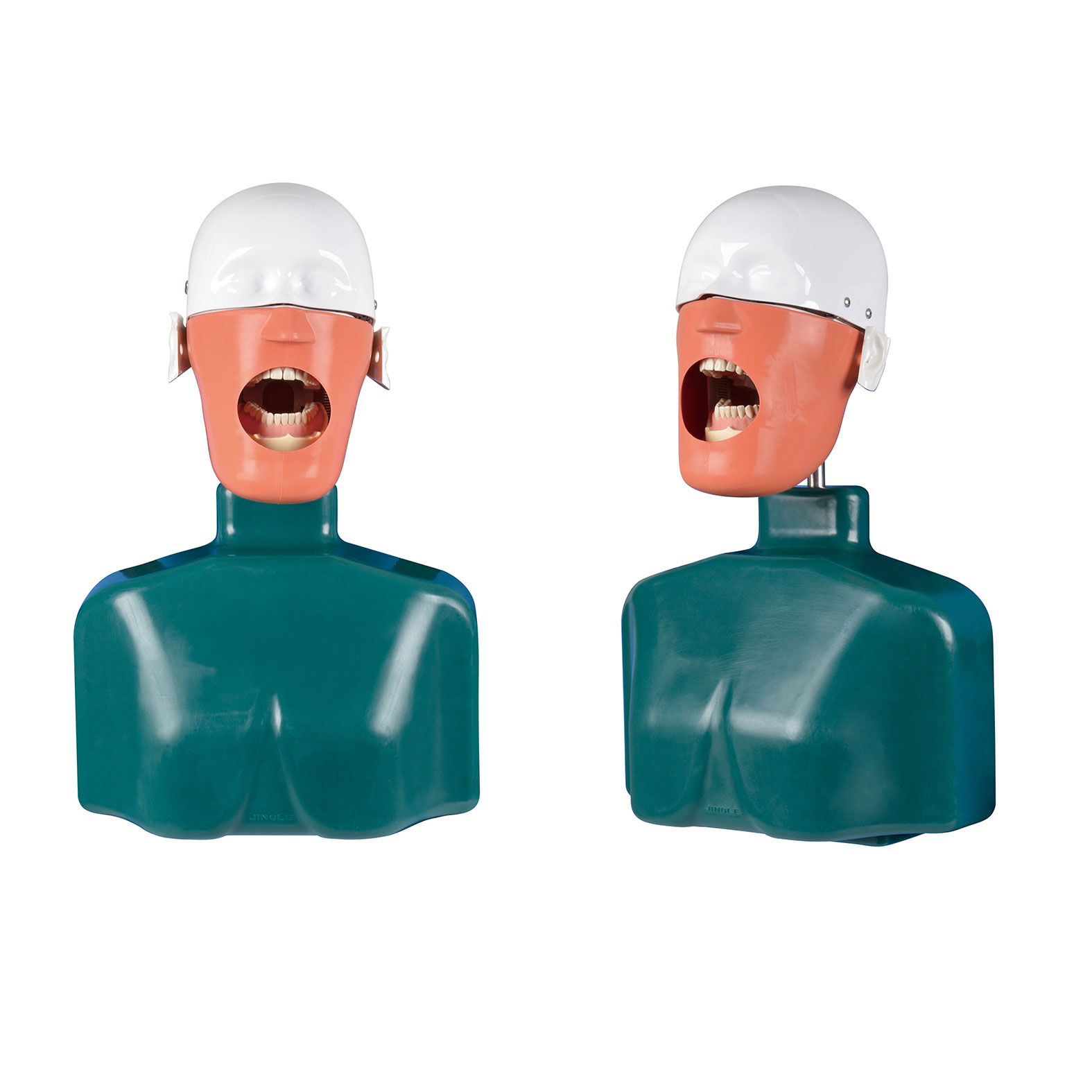 Dental Phantom Head Unit – Mannequin Simulator for Dental Training
