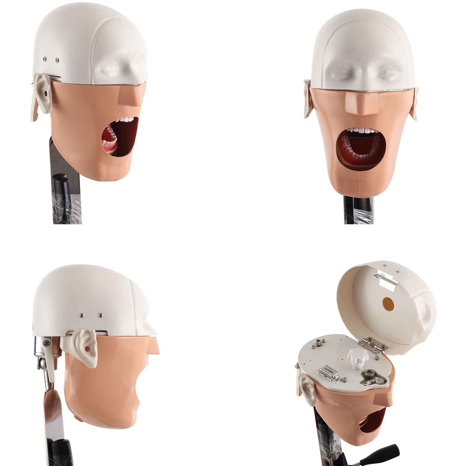 Chair Headrest Dental Phantom Head | Dental Simulation Training Model