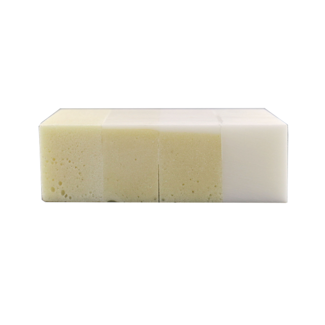 Dental Implant Practice Bone Block Mode