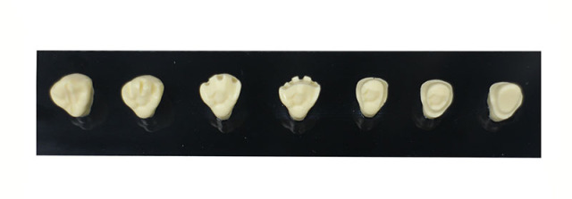 Full Crown Preparation Dental Model with Electric Handpiece