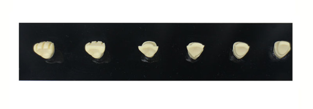 Full Crown Preparation Dental Model with Electric Handpiece