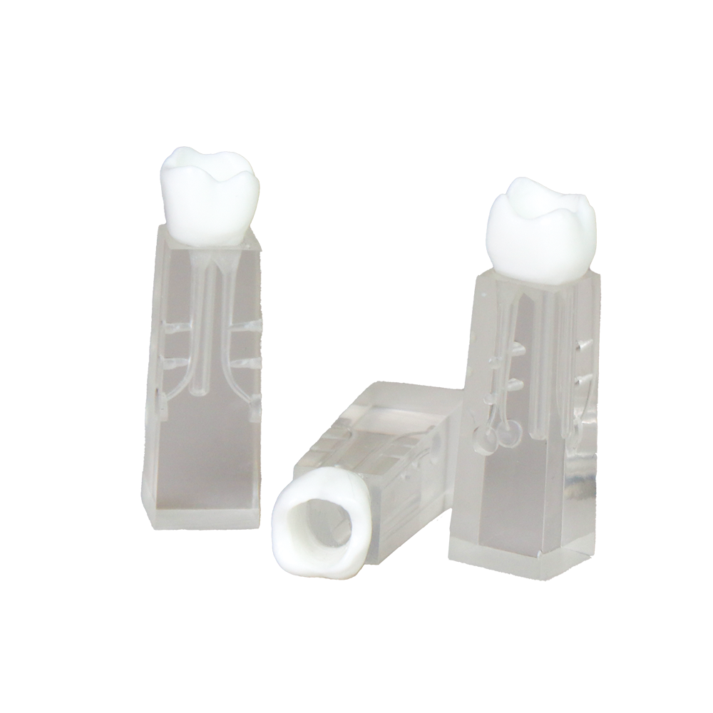 Root Canal Block JG-YS2-SG
