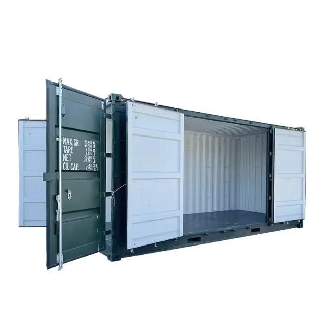 Greevel 20ft Custom Shipping Container with side doors for Sale