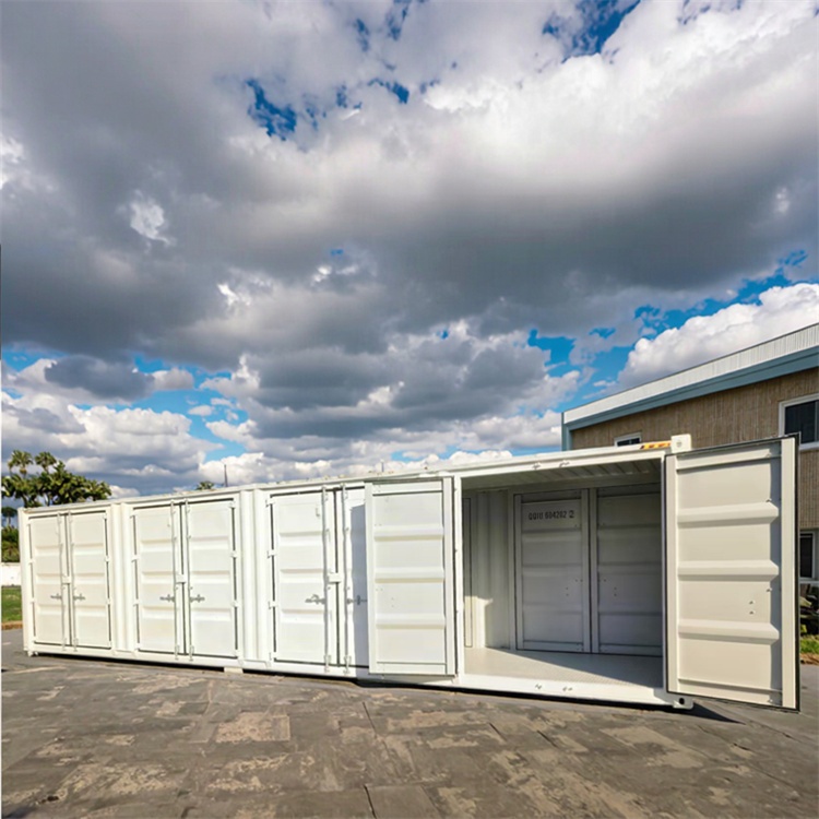 Greevel Multi-Door 40HC Shipping Container with 8 Side Access Doors ...